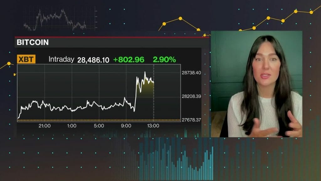 A New Crypto Cycle Is Approaching, According to Demirors - Cashola